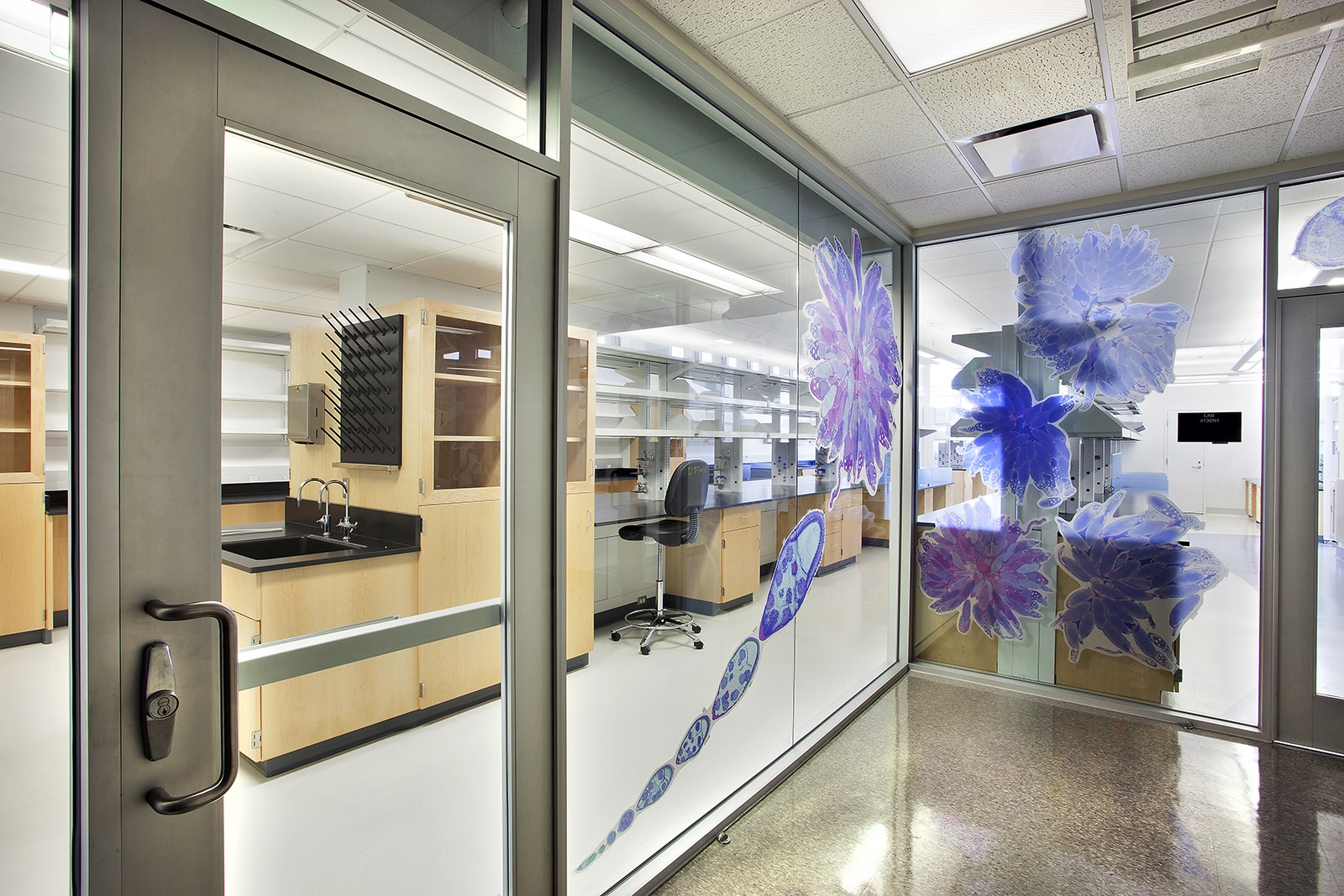 Stem Cell Lab RenovationUniversity of California, Santa Barbara ...